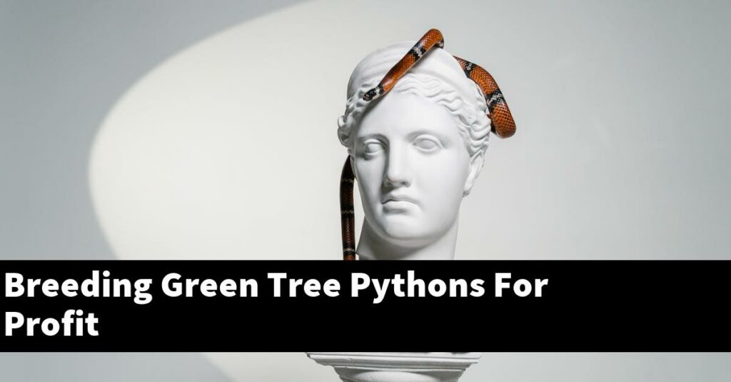 Breeding Green Tree Pythons For Profit - My Reptile Blog