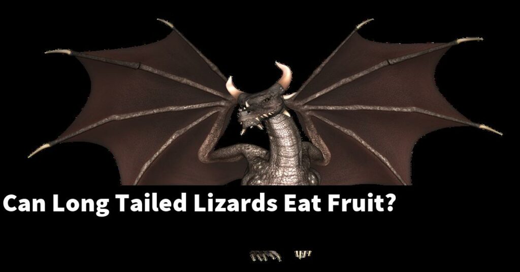 Can Long Tailed Lizards Eat Fruits? - My Reptile Blog