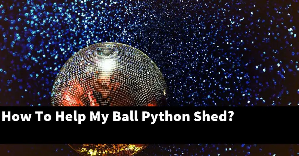 How To Help My Ball Python Shed? - My Reptile Blog