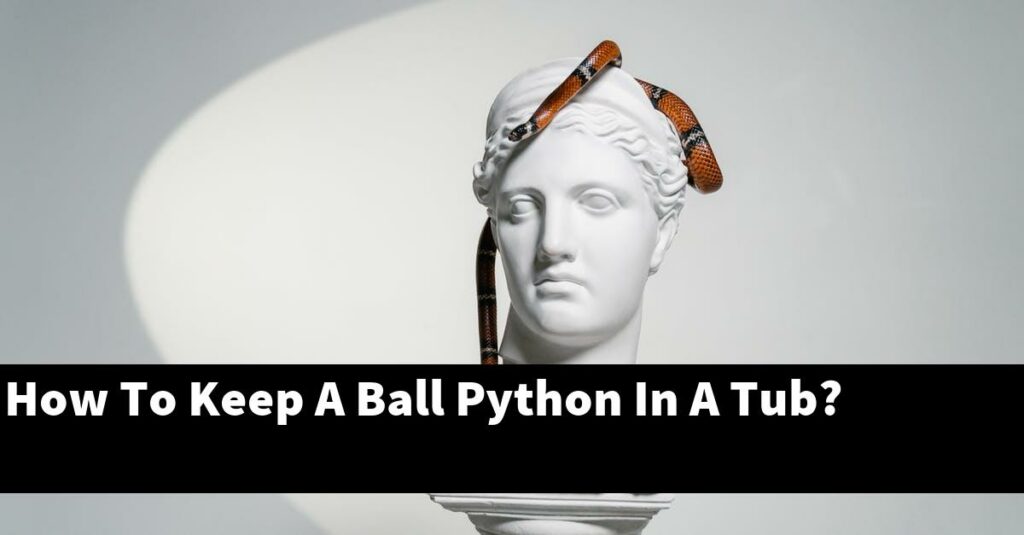 How To Keep A Ball Python In A Tub? - My Reptile Blog