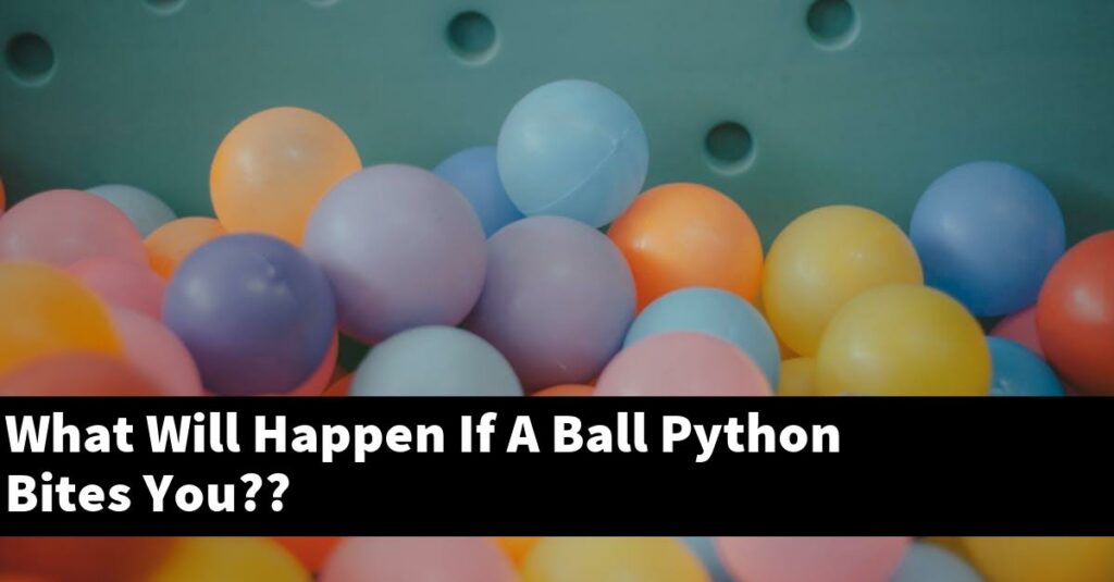 What Will Happen If A Ball Python Bites You? - My Reptile Blog